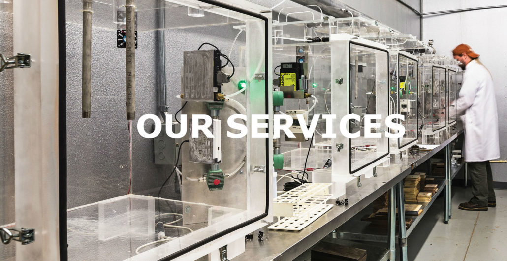 bmi_services - Benchmark International